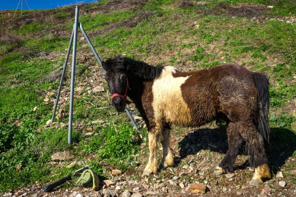 You can live for free in this beautiful gypsy cave-village in Spain ...