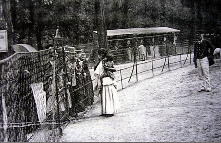 Human zoos are one of Europe’s most shameful secrets, and only ended in ...