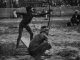 Human zoos are one of Europe’s most shameful secrets, and only ended in ...