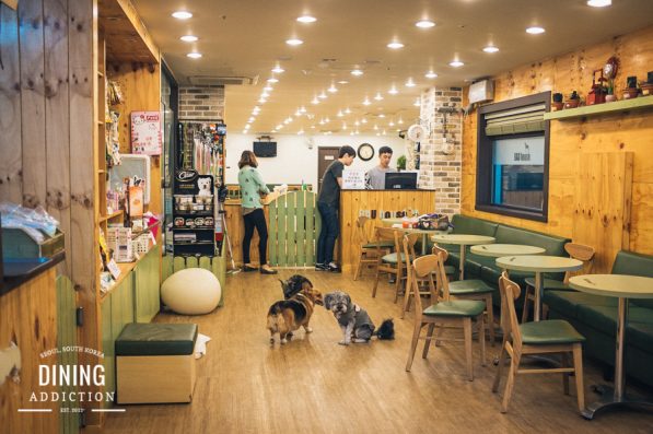 This café lets you play with puppies while you drink your coffee