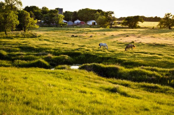 Here are some places where you can get land for free.