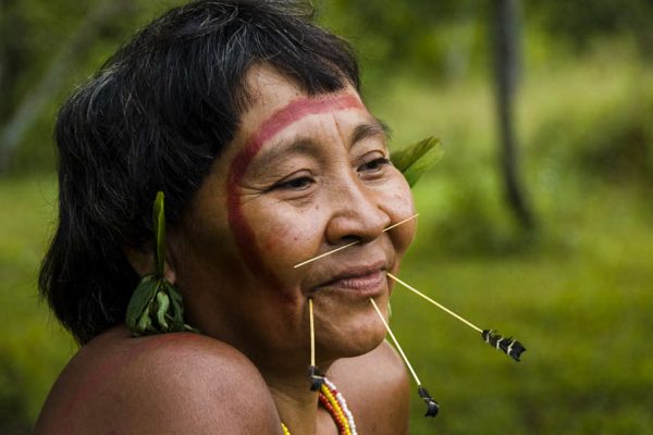 Amazonian hunter-gatherers isolated from Western medicine have the most ...