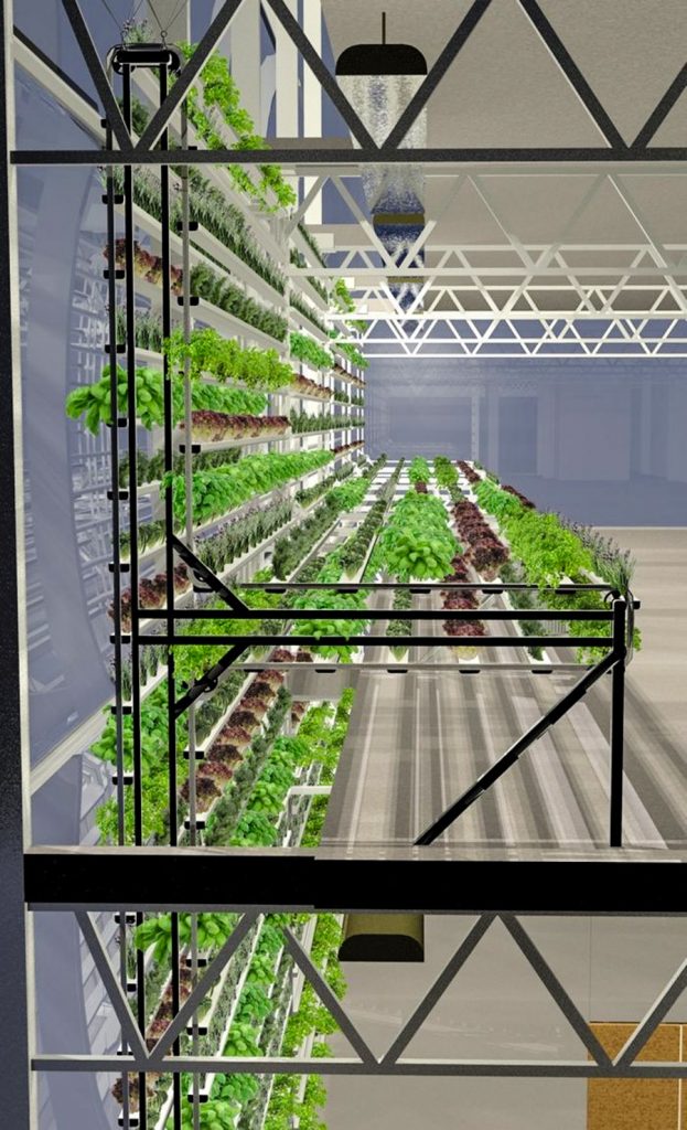 A deserted lot in Wyoming will become one of America’s first vertical farms