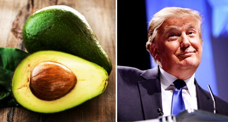 The Public Has Spoken: An Avocado Is Better Suited in the Oval Office ...