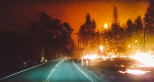Driver narrowly escapes from the heart of a forest fire and captures it ...