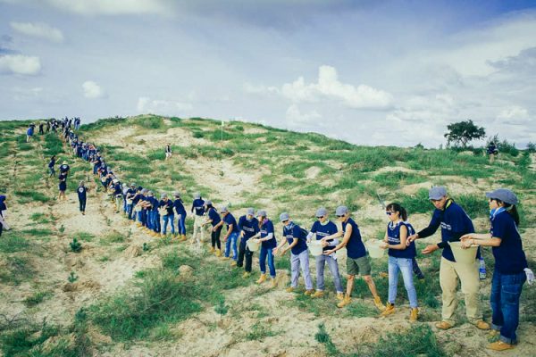 China is building a Great Green Wall of trees to stop desertification
