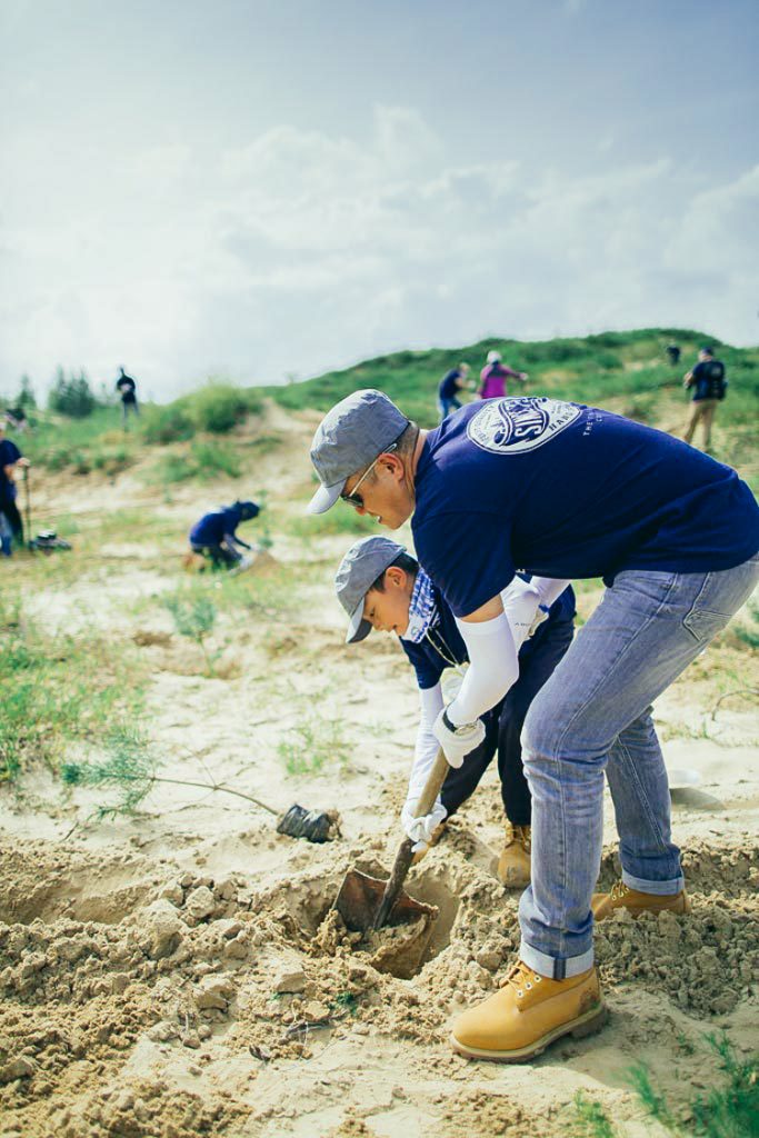 China is building a Great Green Wall of trees to stop desertification