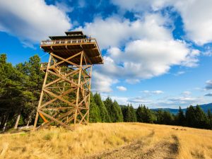 Couple ditched the city for a 40-foot fire lookout with spectacular ...