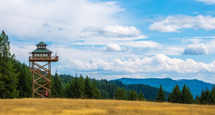 Couple ditched the city for a 40-foot fire lookout with spectacular ...
