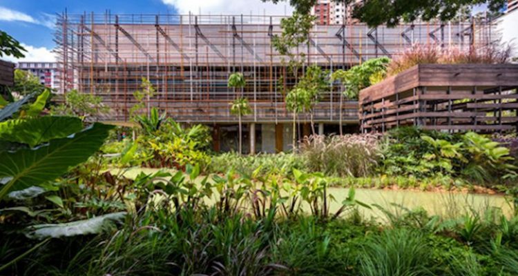 Eco spaces and eco gardens: the 10 best sustainable initiatives around ...