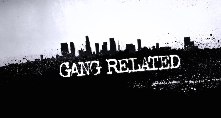 Gang_Related_Logo - The Plaid Zebra